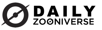 The Daily Zooniverse – Daily Zooniverse