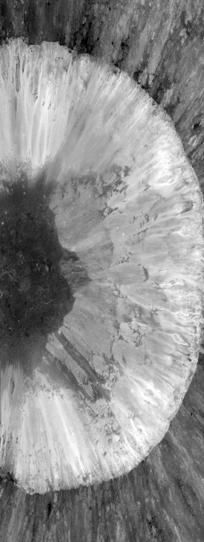 Moon Zoo – Daily Zooniverse
