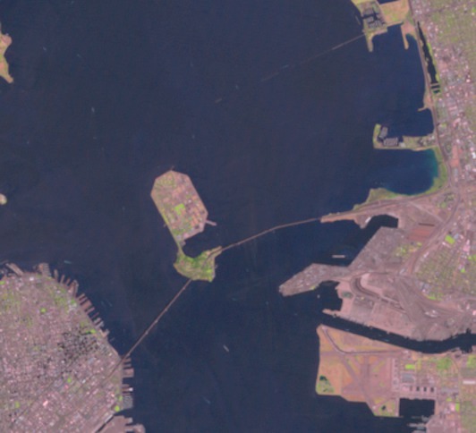 Homer Simpson Island? – Daily Zooniverse