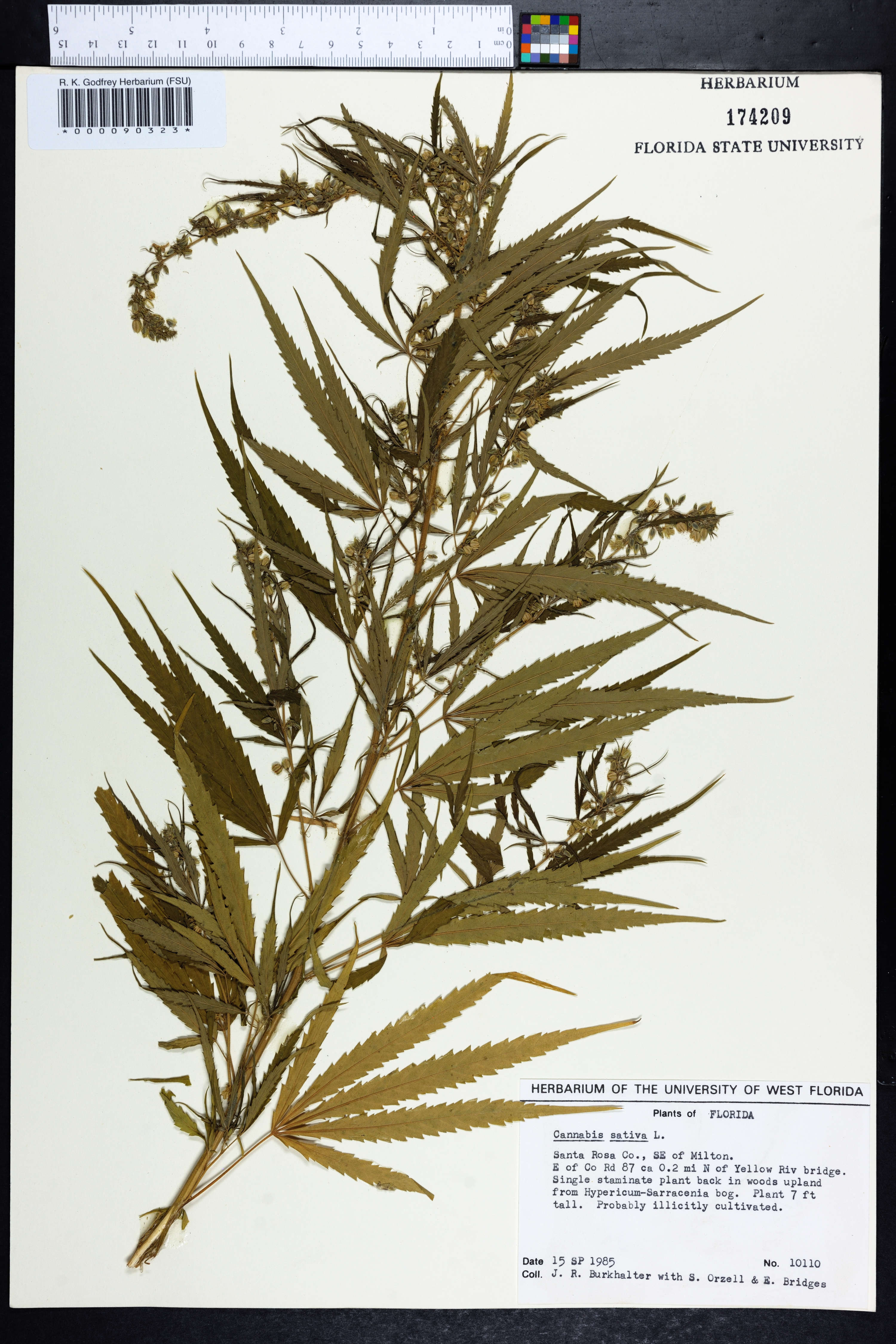 Notes from Nature – Daily Zooniverse