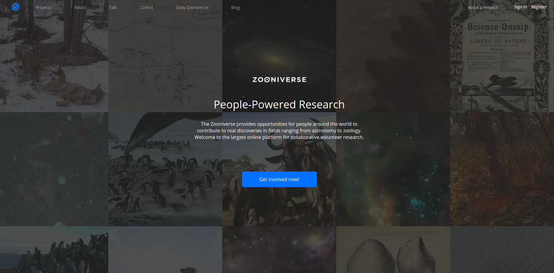New Look Zooniverse – Daily Zooniverse