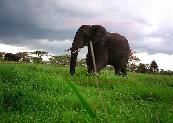 New Project – Computer Vision: Serengeti – Daily Zooniverse