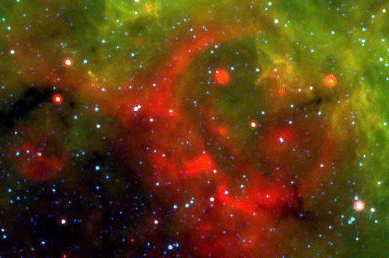 The Cat Nebula – Daily Zooniverse