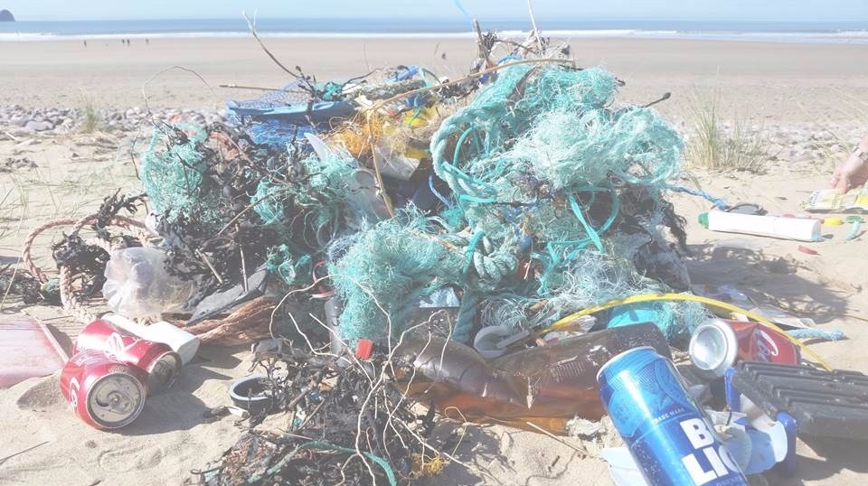 British Science Week Challenge – The Plastic Tide – Daily Zooniverse