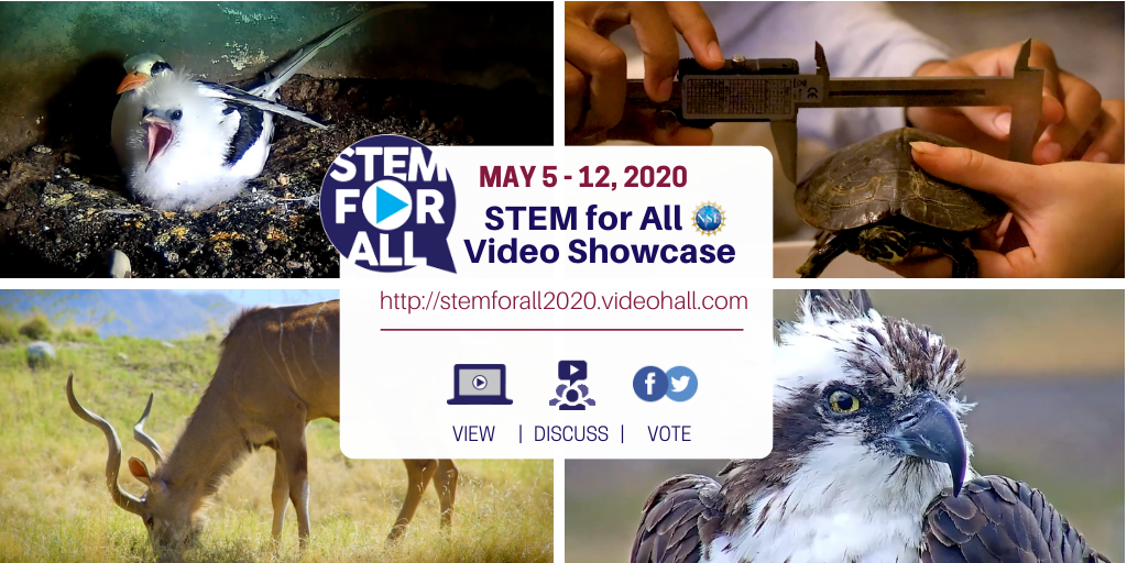 Vote for Hawk Talk – STEM for All Showcase – Daily Zooniverse