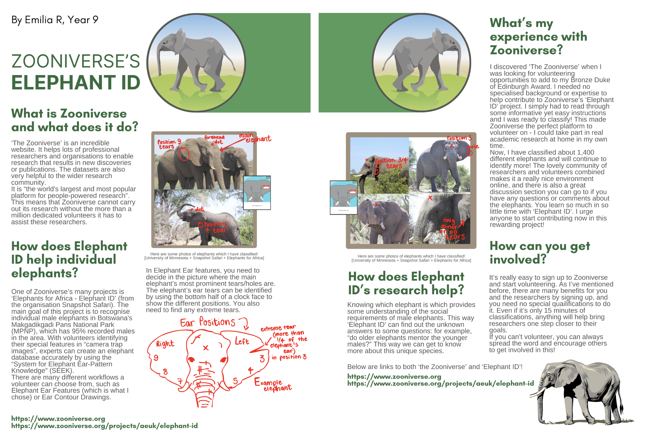 Zooniverse Project Inspiring School Newspaper Article – Daily Zooniverse