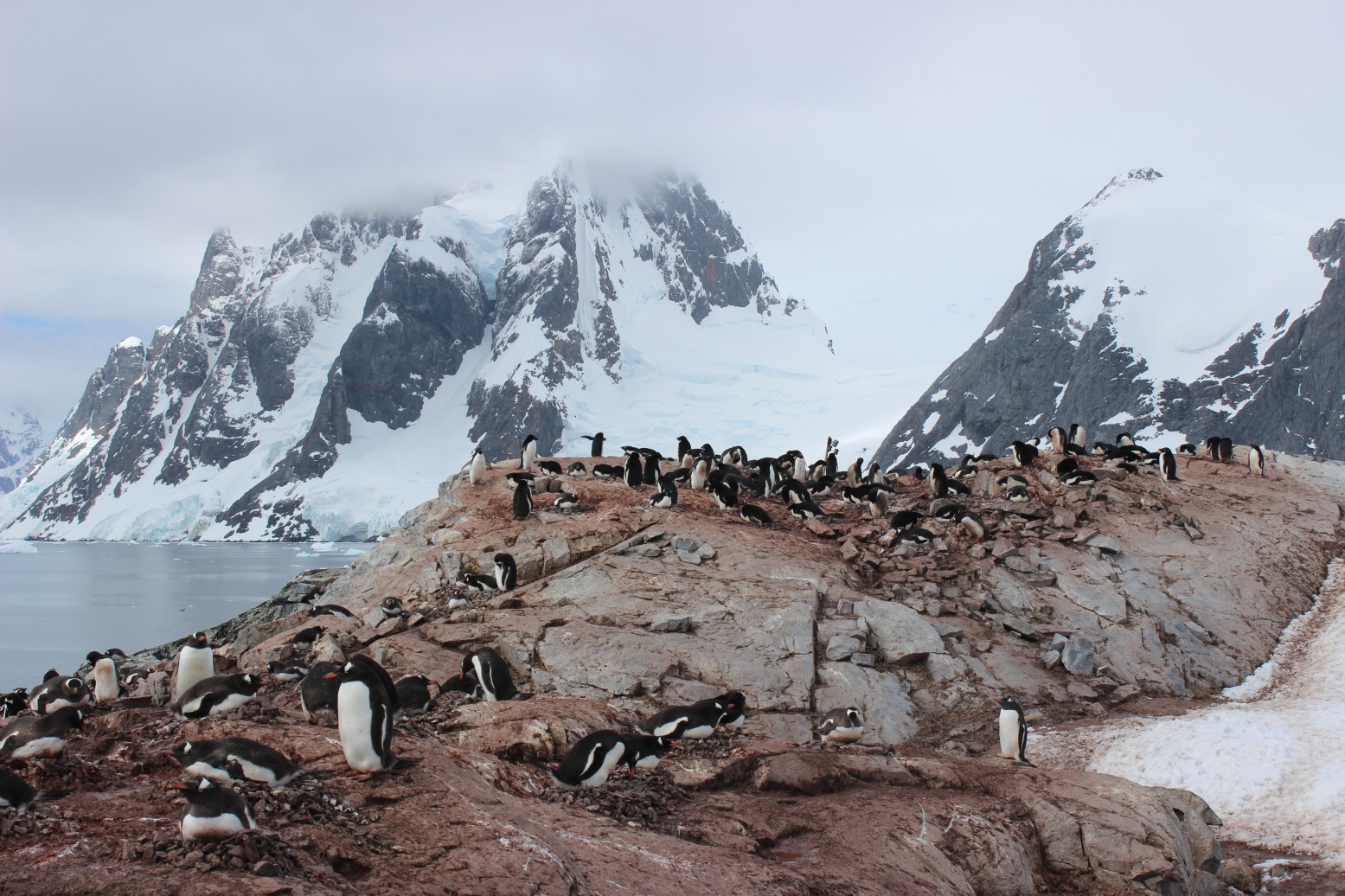 Daily Zooniverse – Your source of news from across the Zooniverse